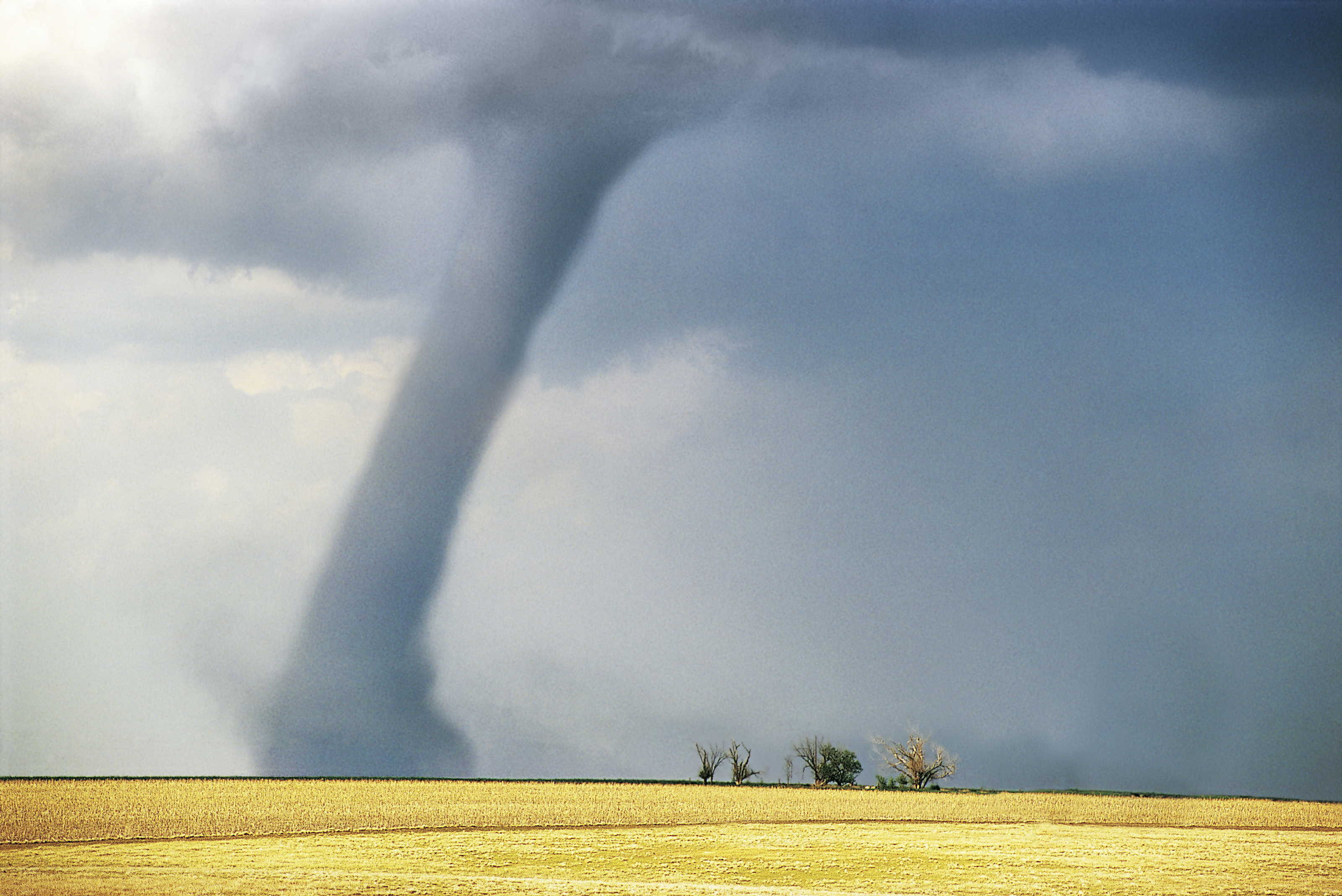 Webinar: Together tackling the next natural disaster and extreme ...