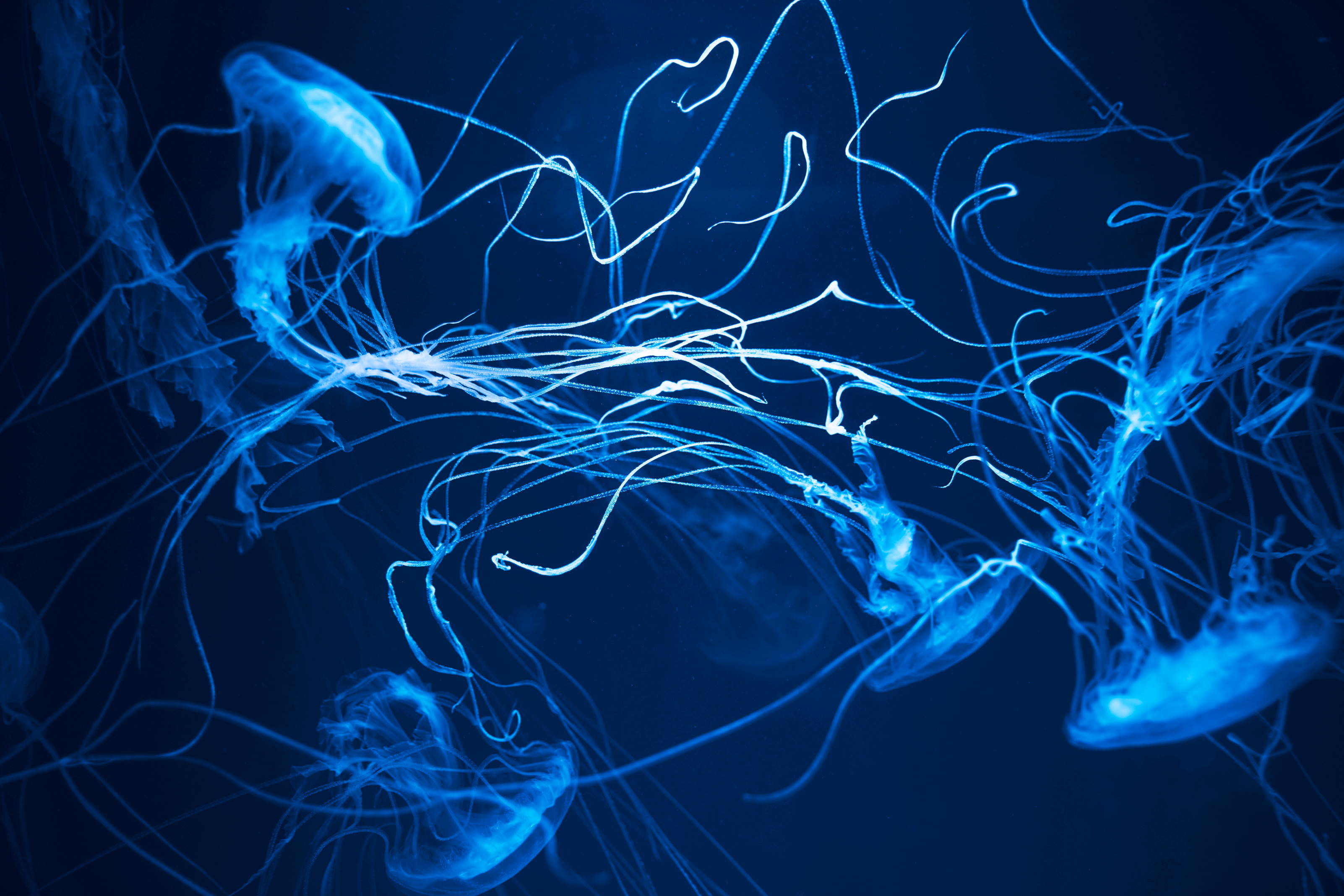 Promoting risk engineering as part of a healthy risk culture | Swiss Re